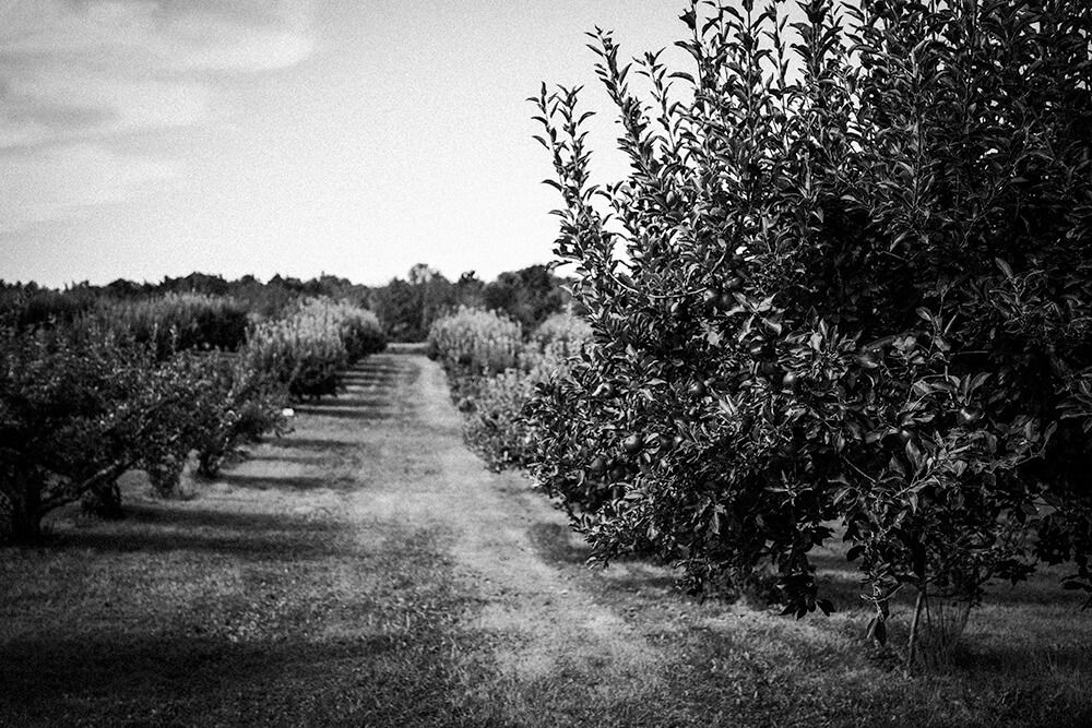 When Lucinda Holloway Met J.W. Booth | Issue 29 by Sara Kay Rupnik