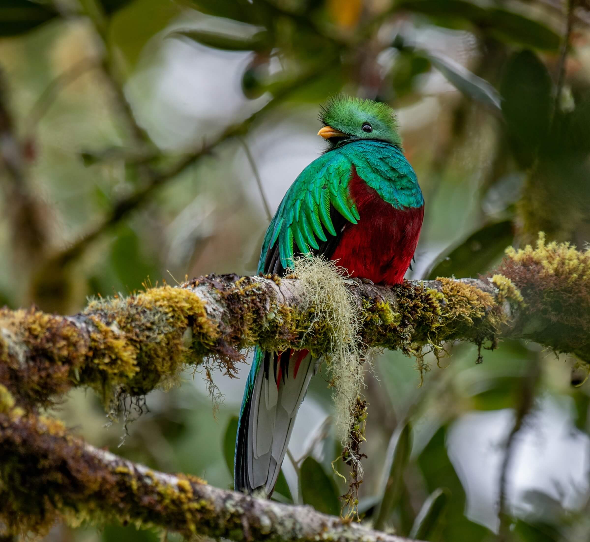 748 | Short Story by Lisa Harris